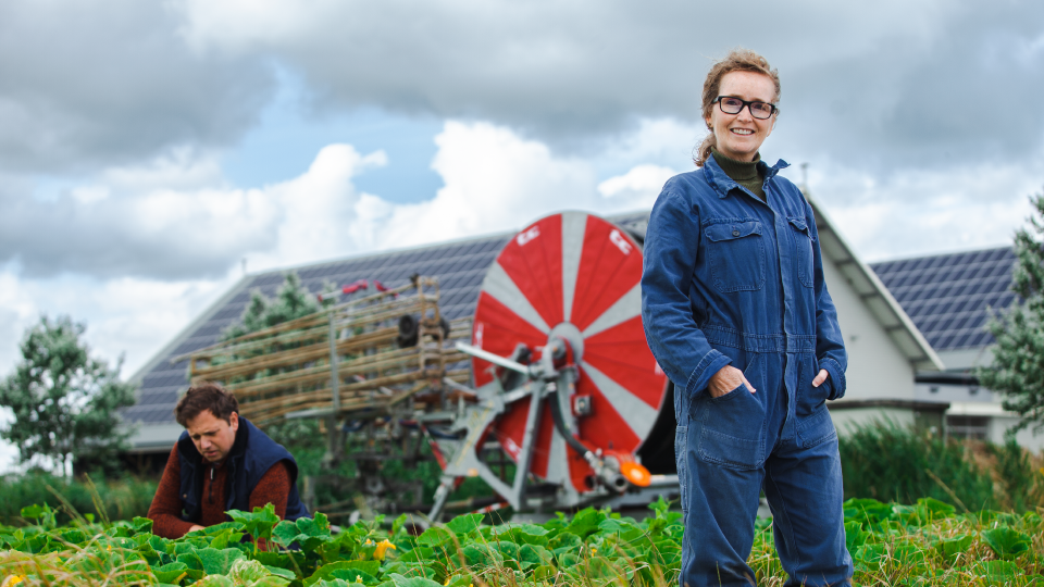 Productieve investeringen landbouw Fryslân | SNN
